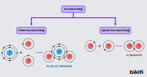 Molekül Polarlığı ve Apolarlığı - Bikifi