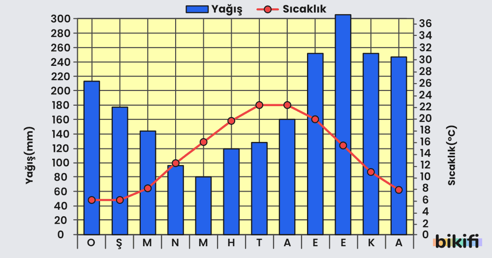 İklim Türleri - Bikifi