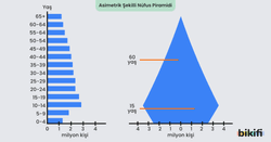 Nüfus Yoğunluğu ve Nüfus Piramitleri - Bikifi