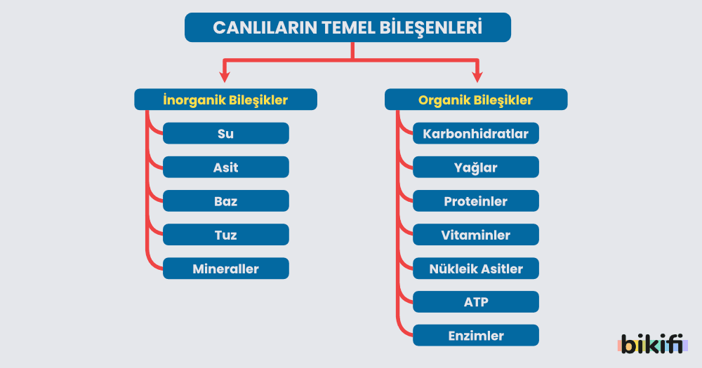 İnorganik Moleküller - Bikifi
