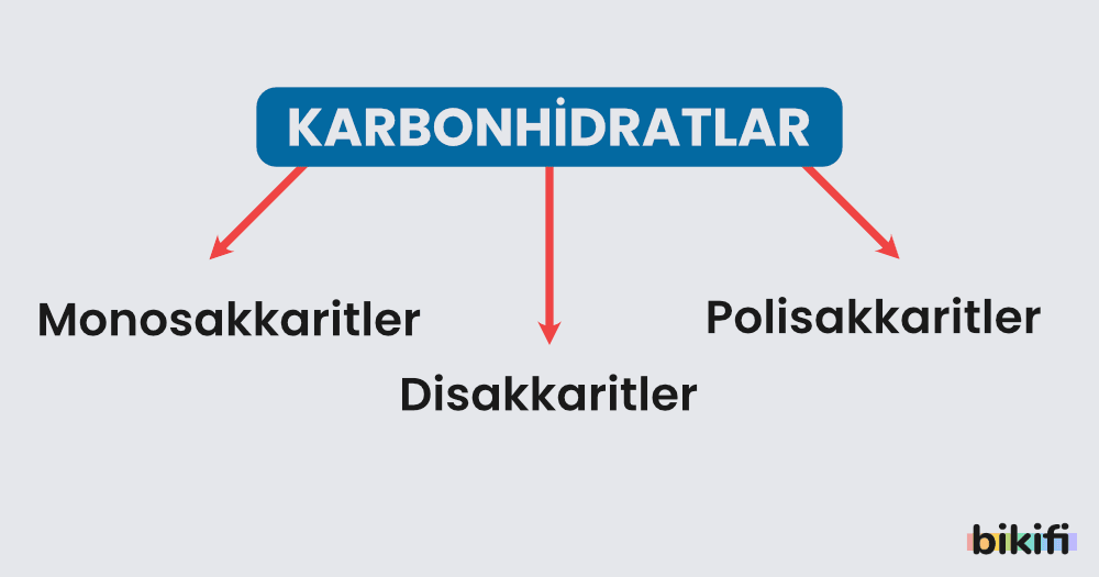 Organik Moleküller - Bikifi