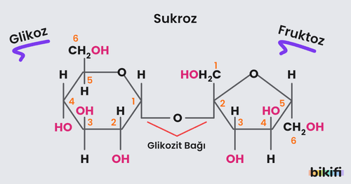 Organik Moleküller - Bikifi