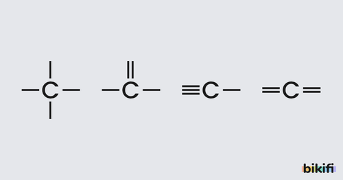 Doğada Karbon - Bikifi