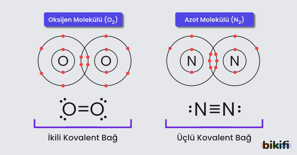 Kovalent Bağ - Bikifi