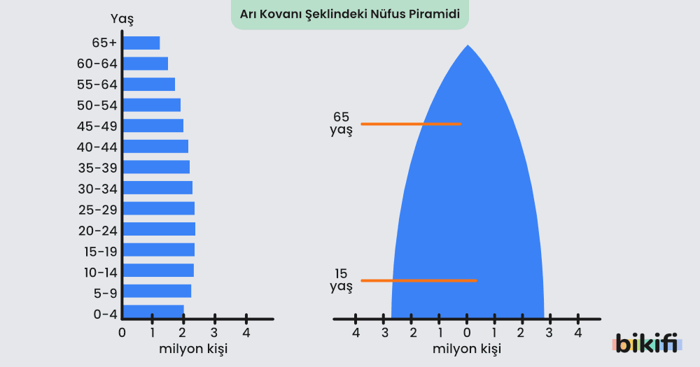 Nüfus Yoğunluğu ve Nüfus Piramitleri - Bikifi
