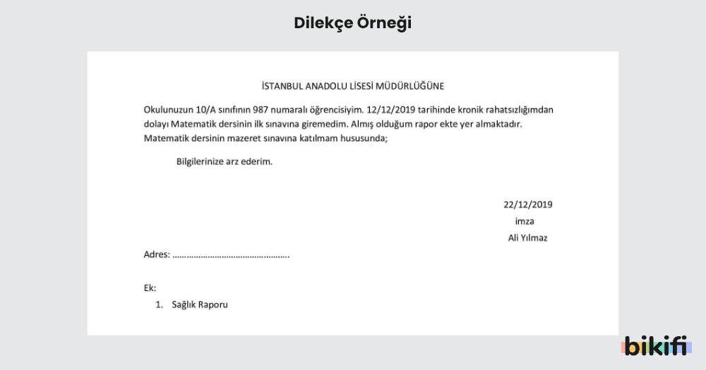 Dilekçe Türü ve Özellikleri - Bikifi