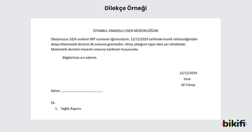 Dilekçe Türü ve Özellikleri - Bikifi